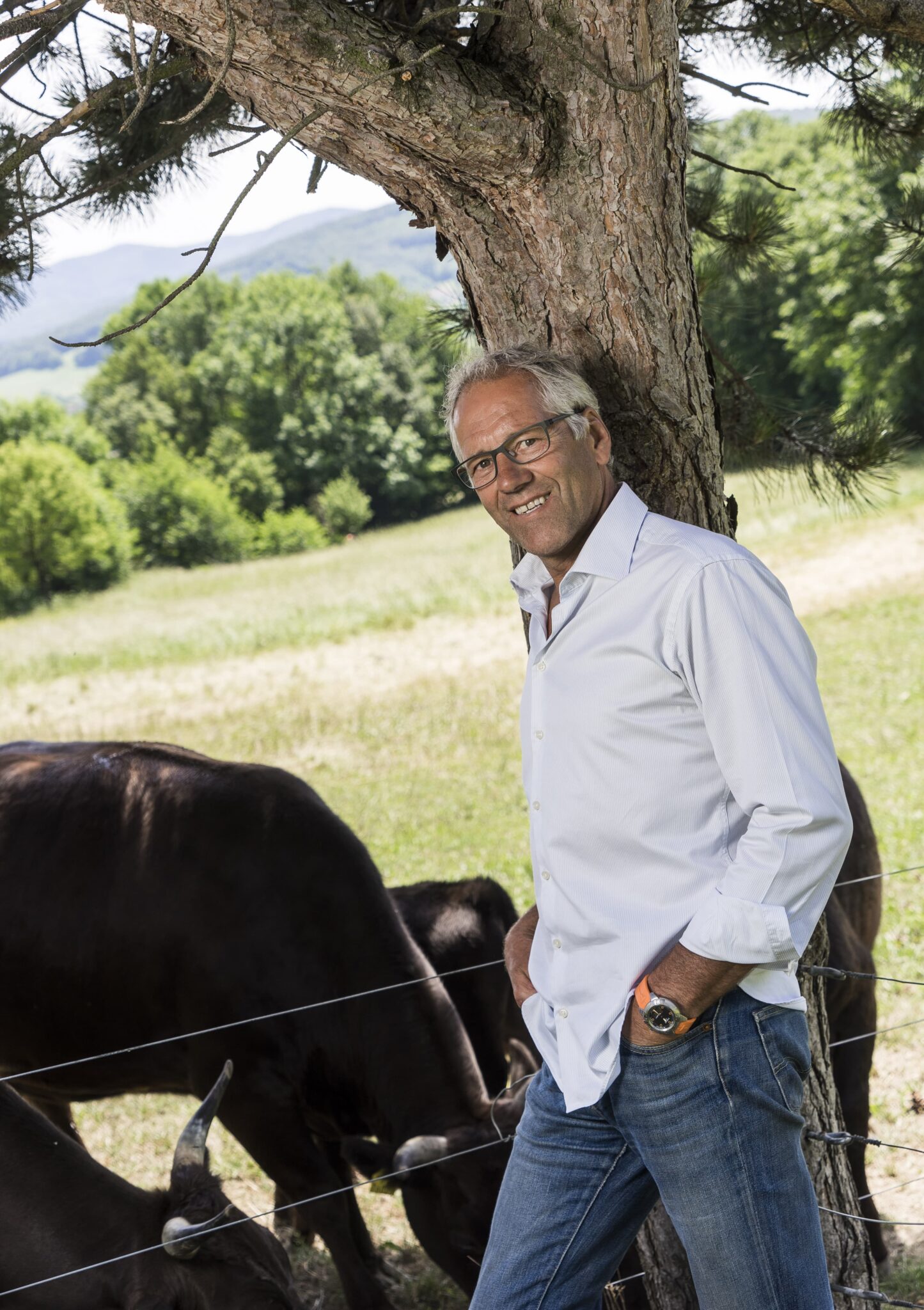 Über Wagyu - Kobe Beef Austria